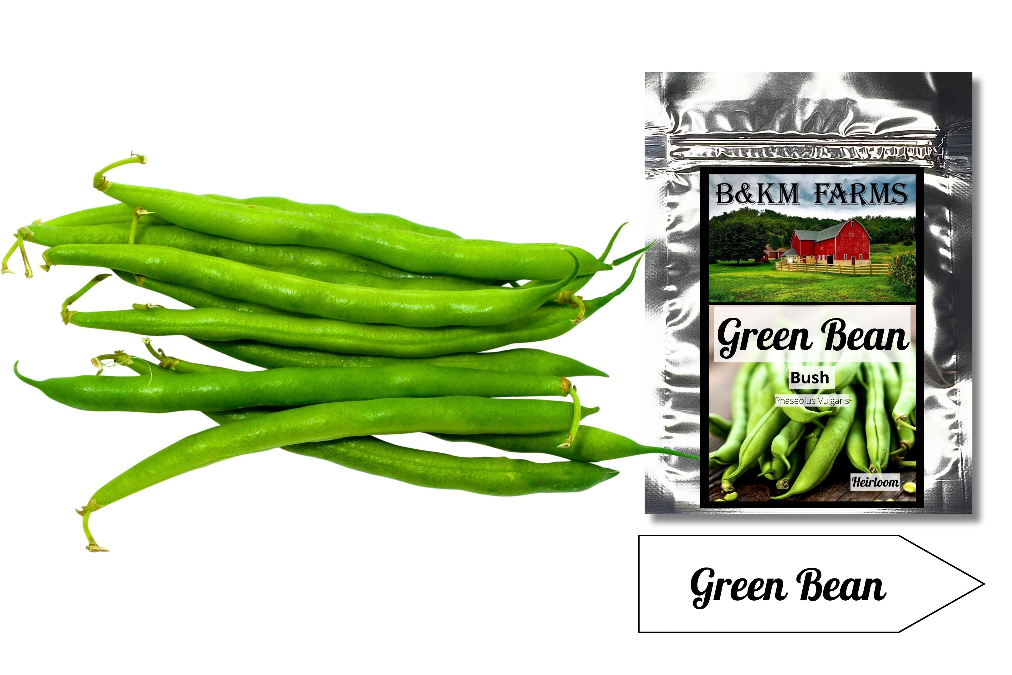 Green Bean Vegetable Seeds- Bush - B&KM Farms