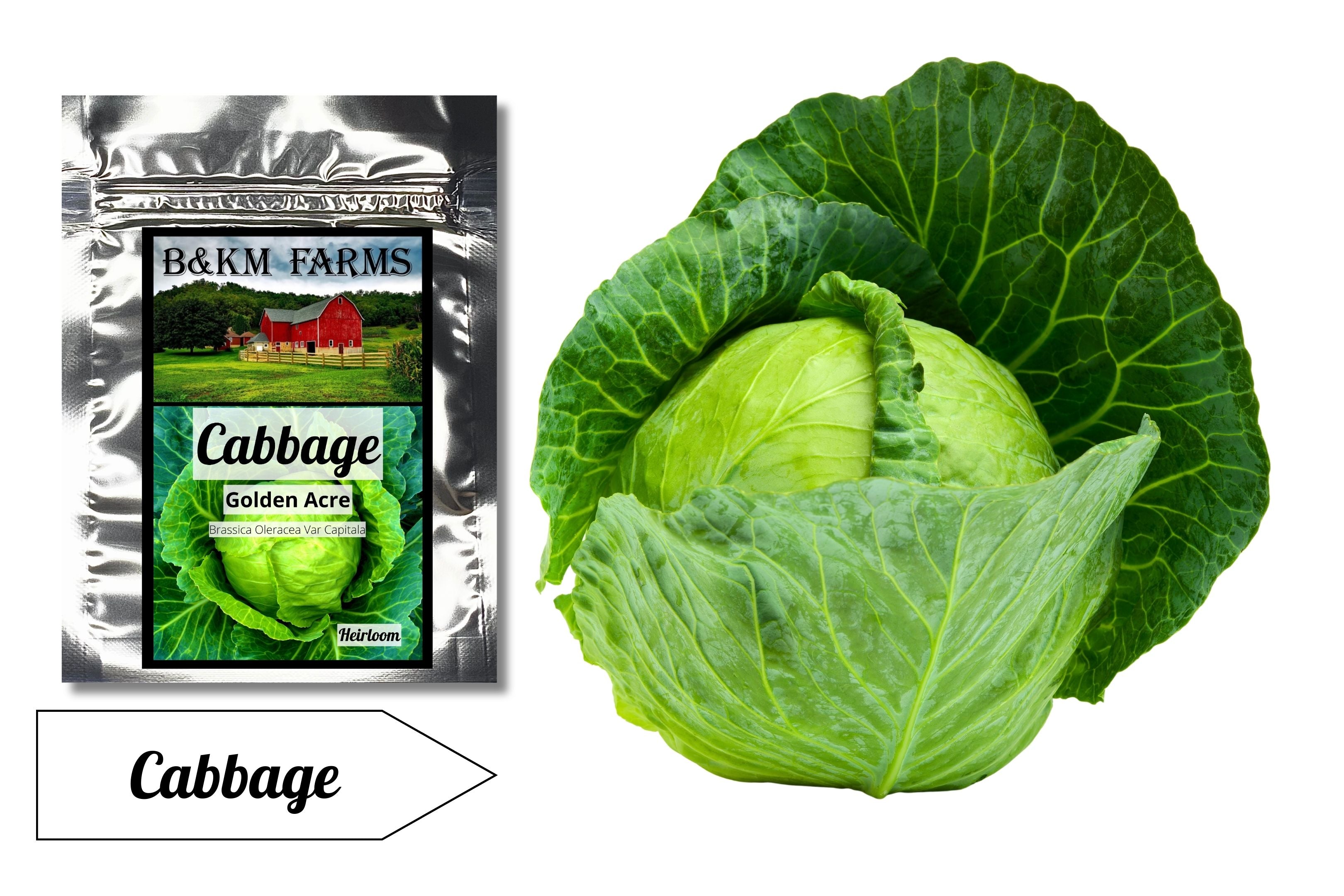 Cabbage Vegetable Seeds - B&KM Farms