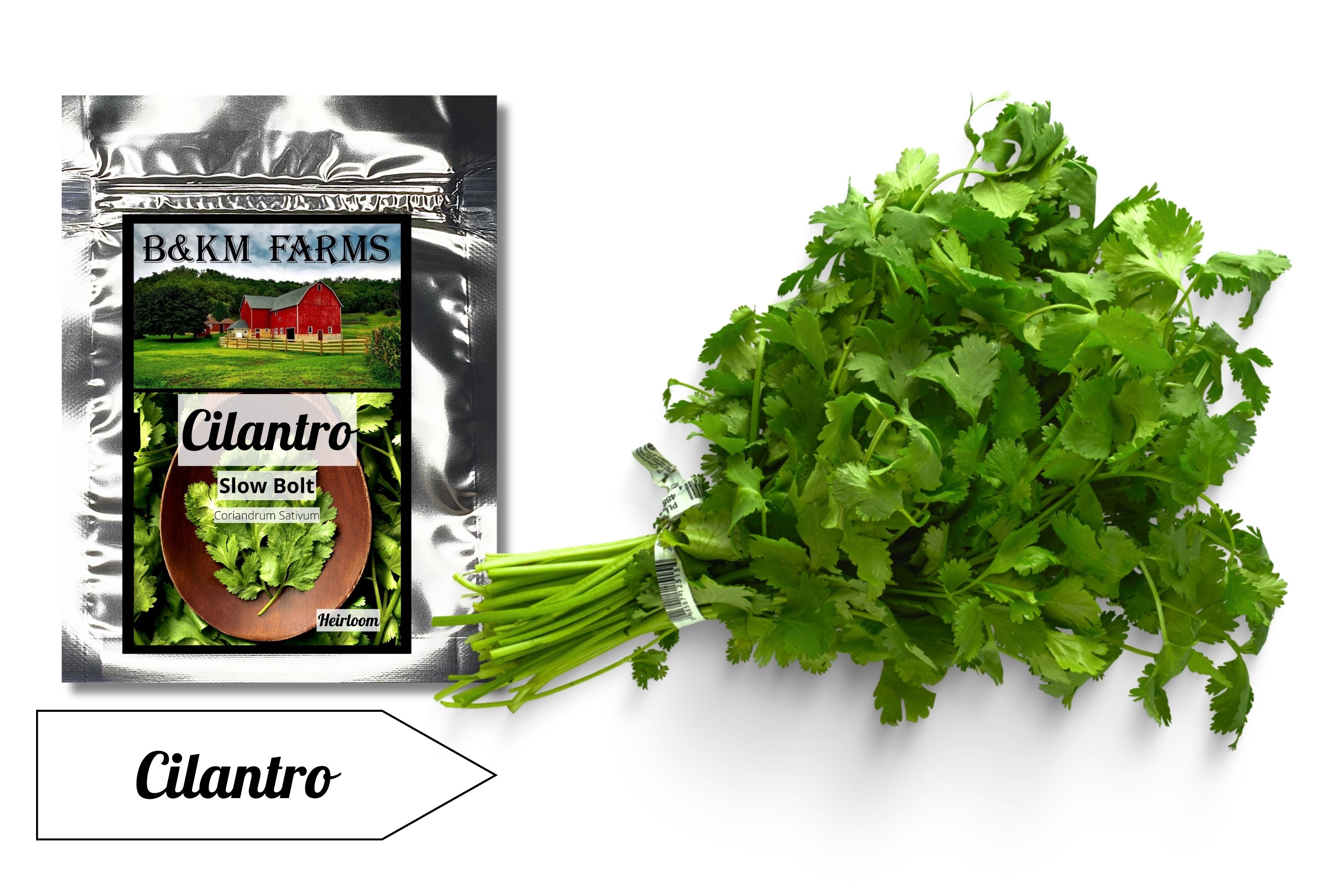 Cilantro Herb Seeds - Slow Bolt- B&KM Farms