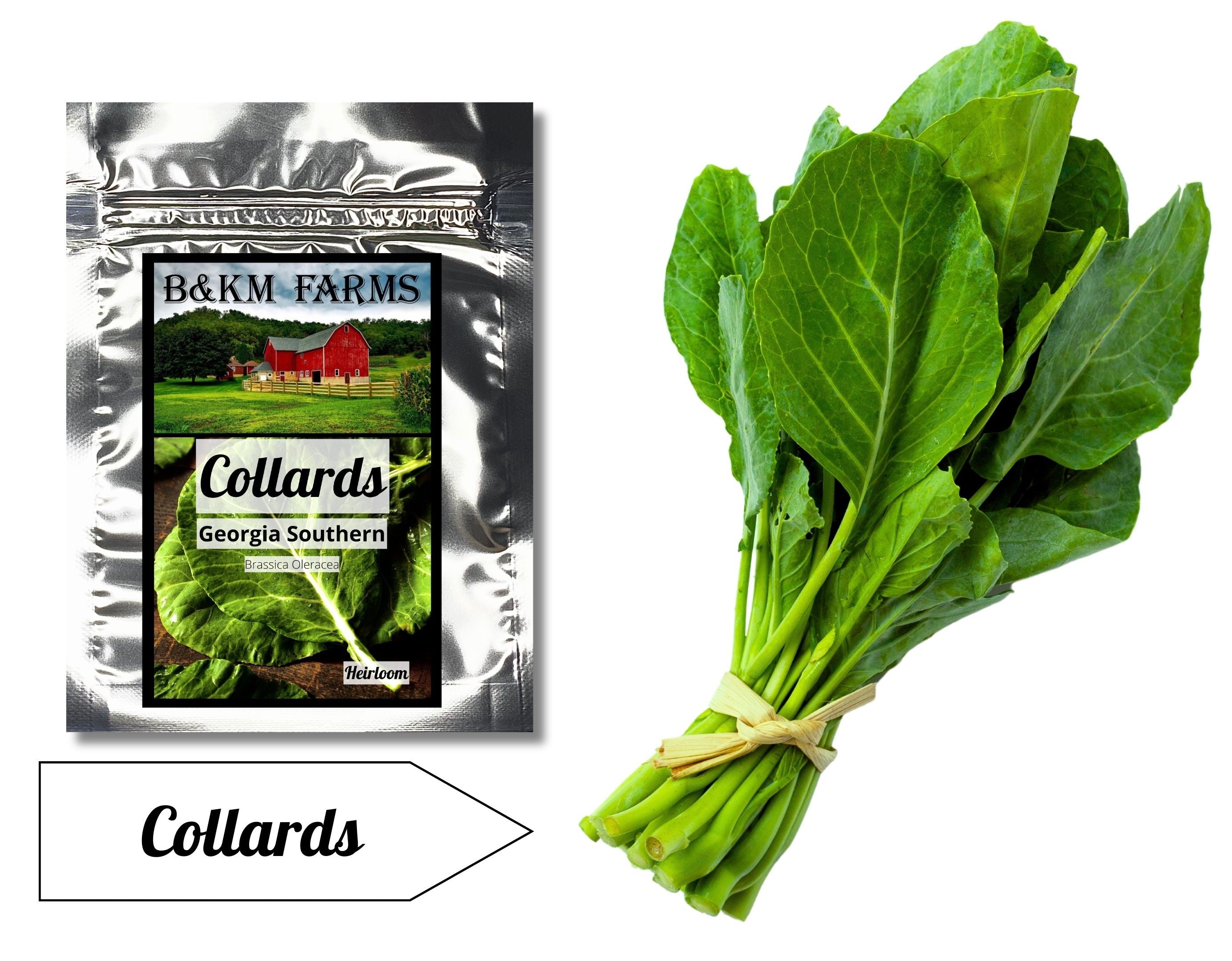Collards Vegetable Seeds - Vates - B&KM Farms
