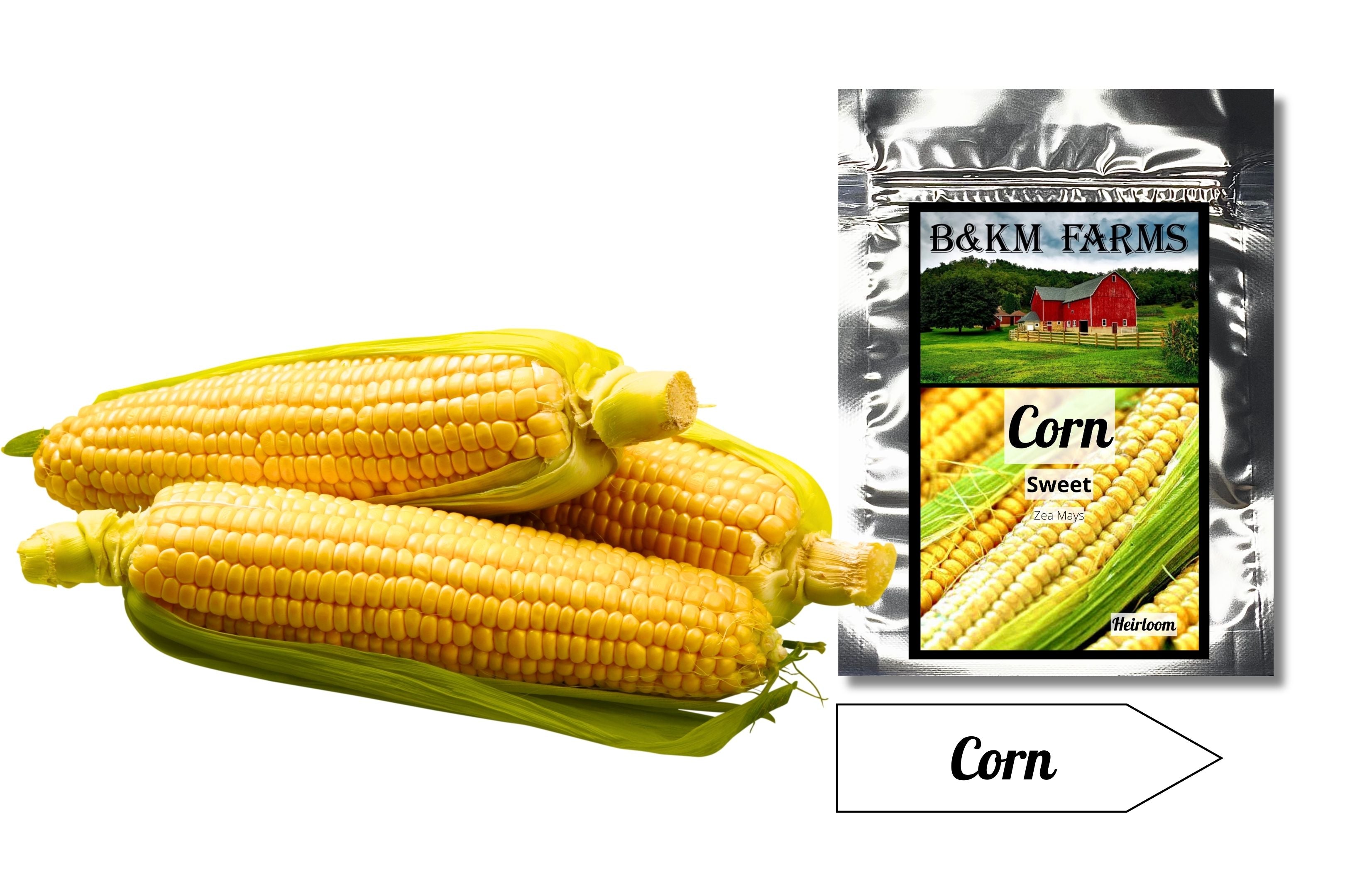 Corn Vegetable Seeds- Golden Bantam - B&KM Farms