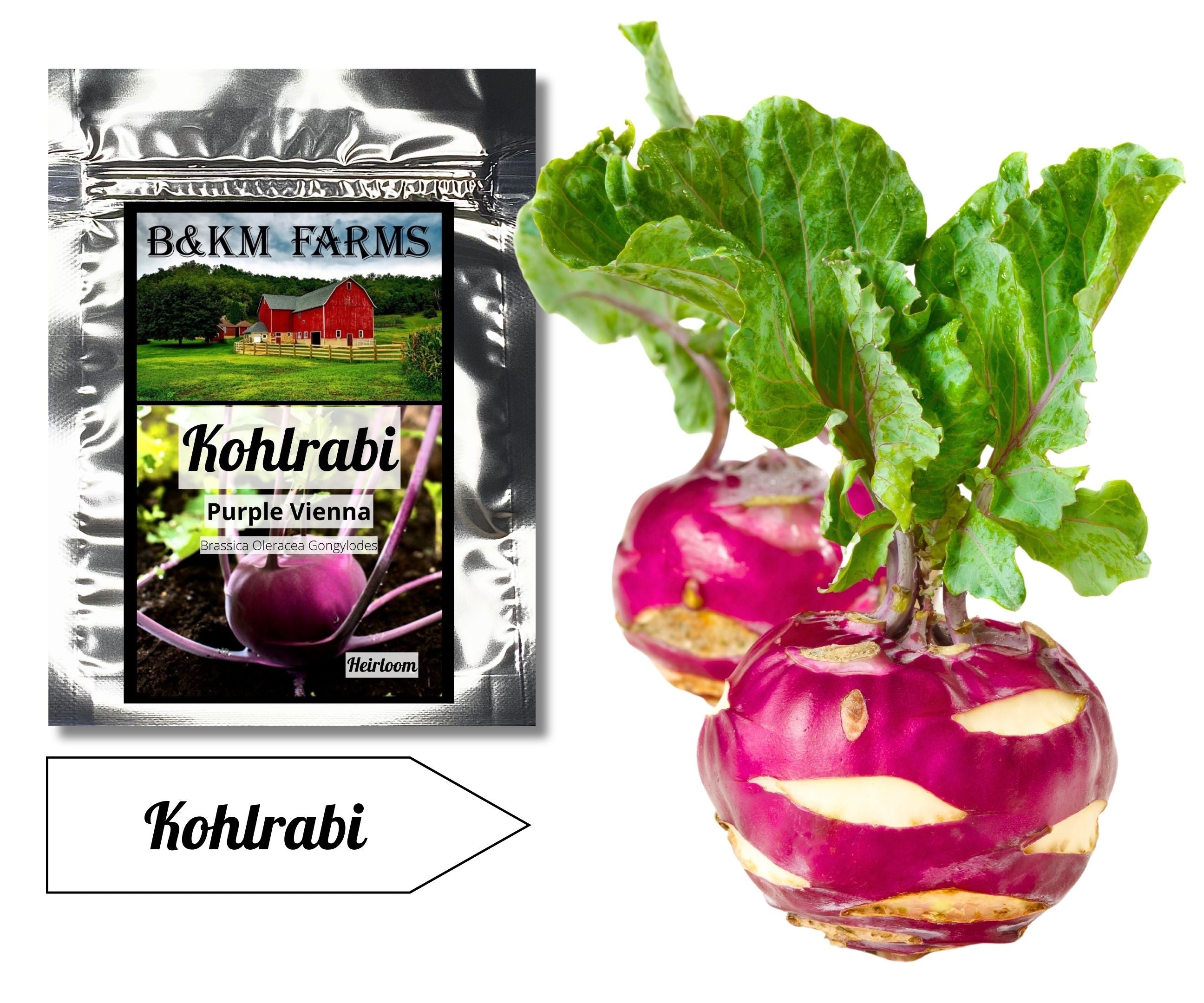 Kohlrabi Vegetable Seeds - Purple Vienna - B&KM Farms